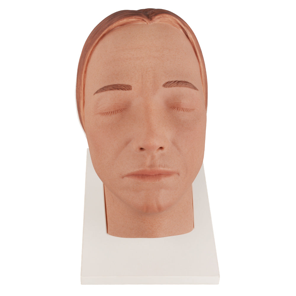 Female Injection Practice Mannequin Head – Medarchitect